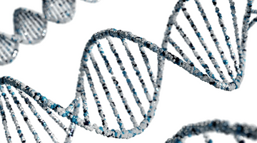 DNA Testing Locations | 3X4 Genetics